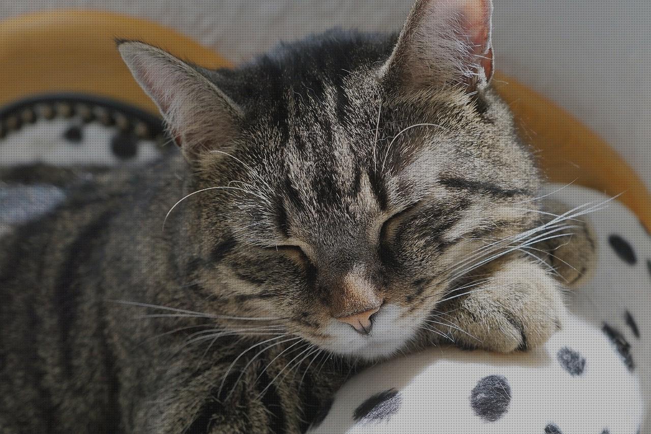 ᐉ 23 Mejores Relojes Originales De Hombres 【Actualizado】